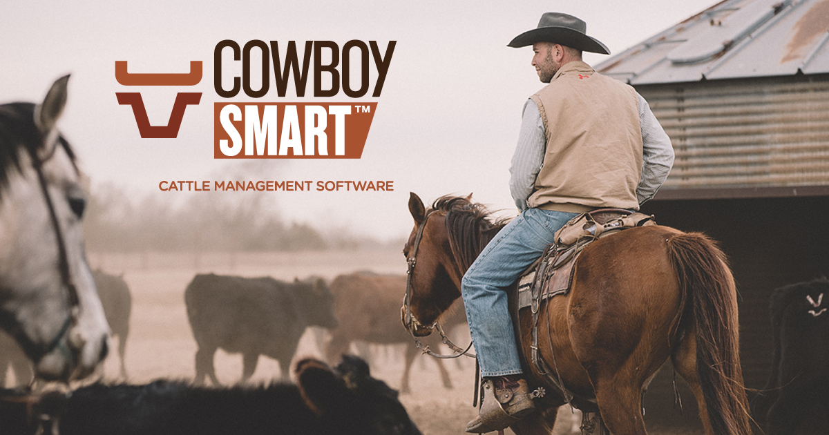 CowboySmart Facebook Share Image – CowboySmart™